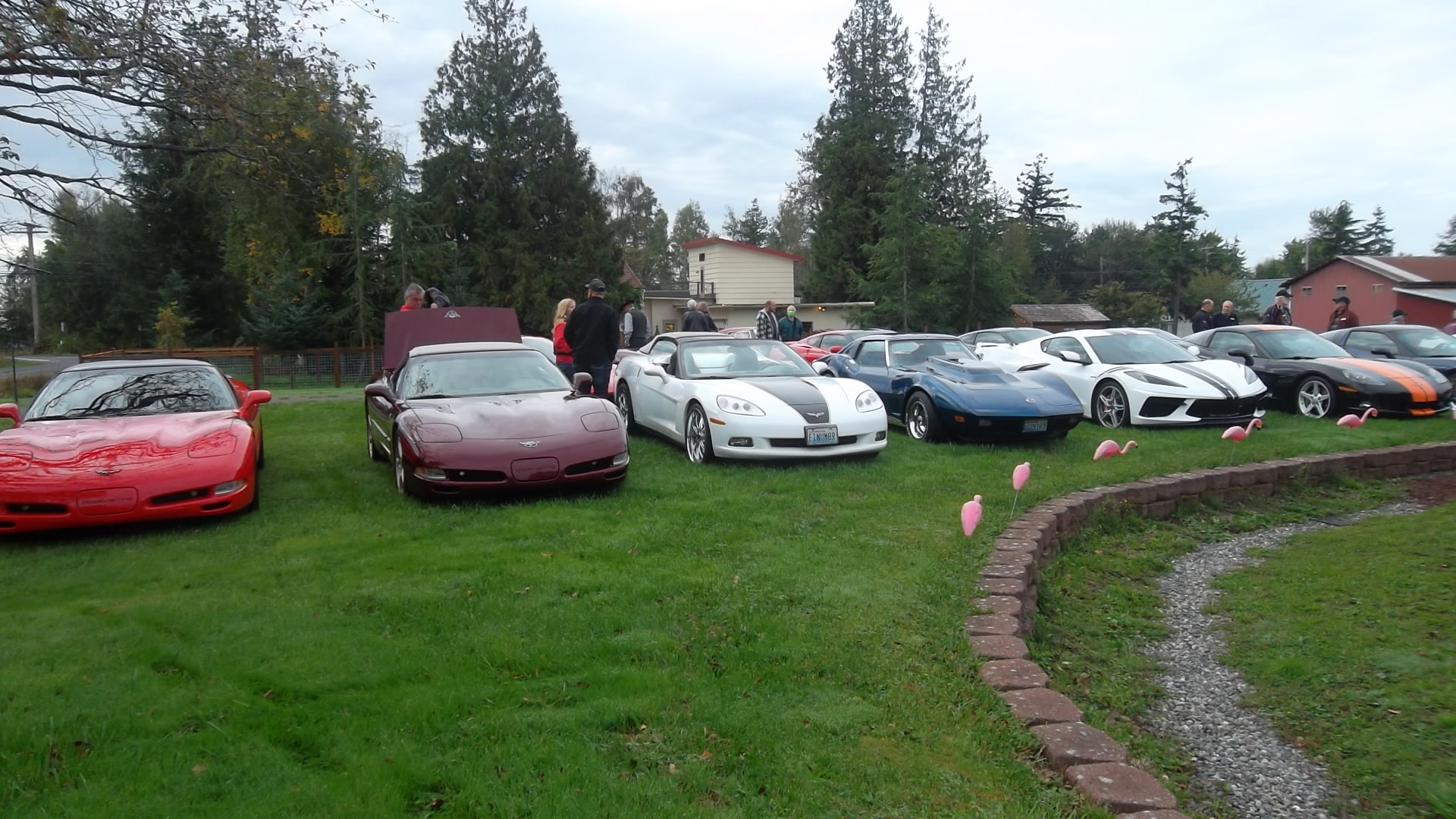 Bell’s Meet – CORVETTES UNLIMITED OF BELLINGHAM, WASHINGTON